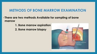 bone marrow smear preparation and statining.pdf