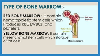bone marrow smear preparation and statining.pdf
