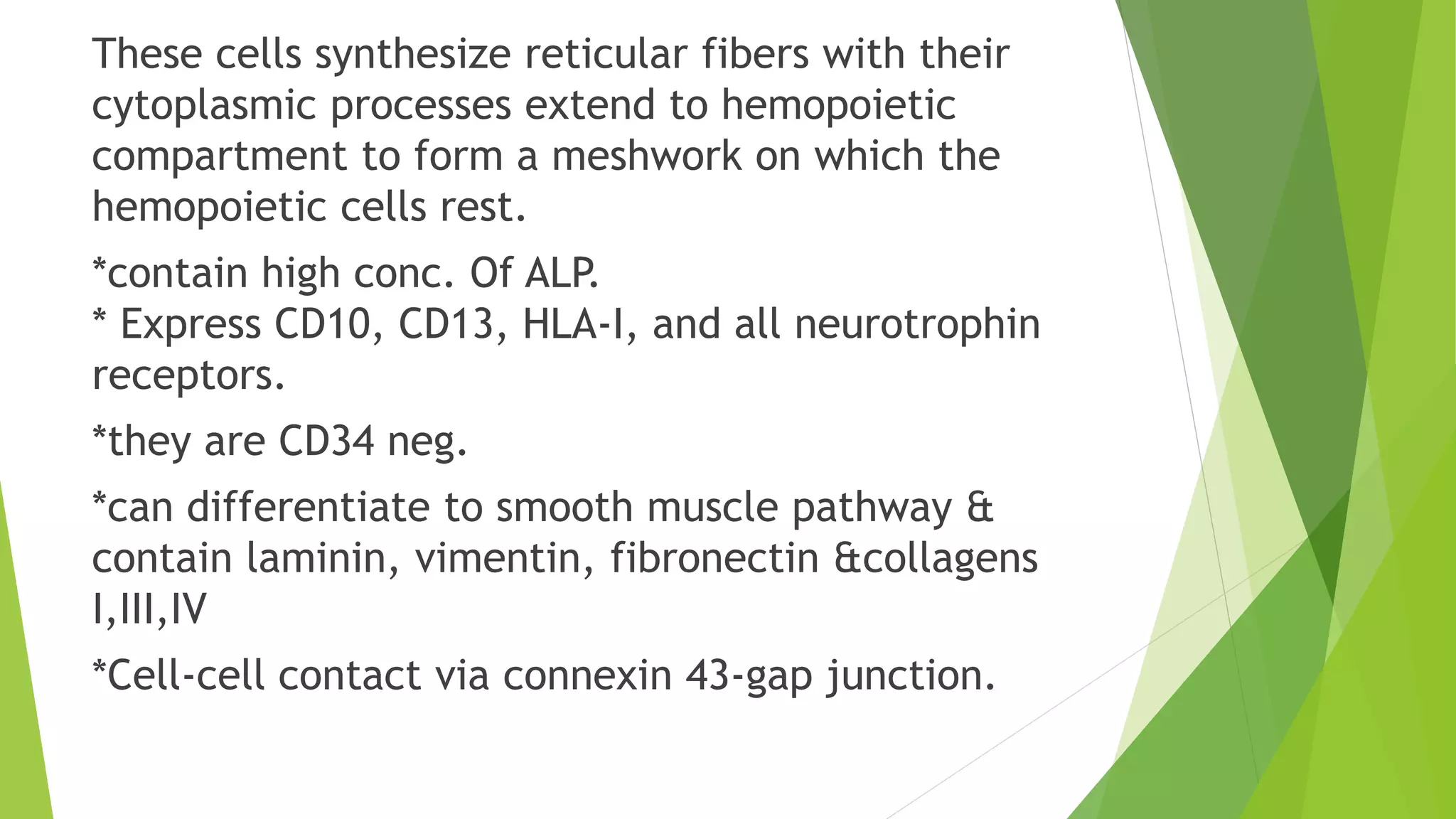 Bone marrow structure & haemopoietic microenviroment | PPTX