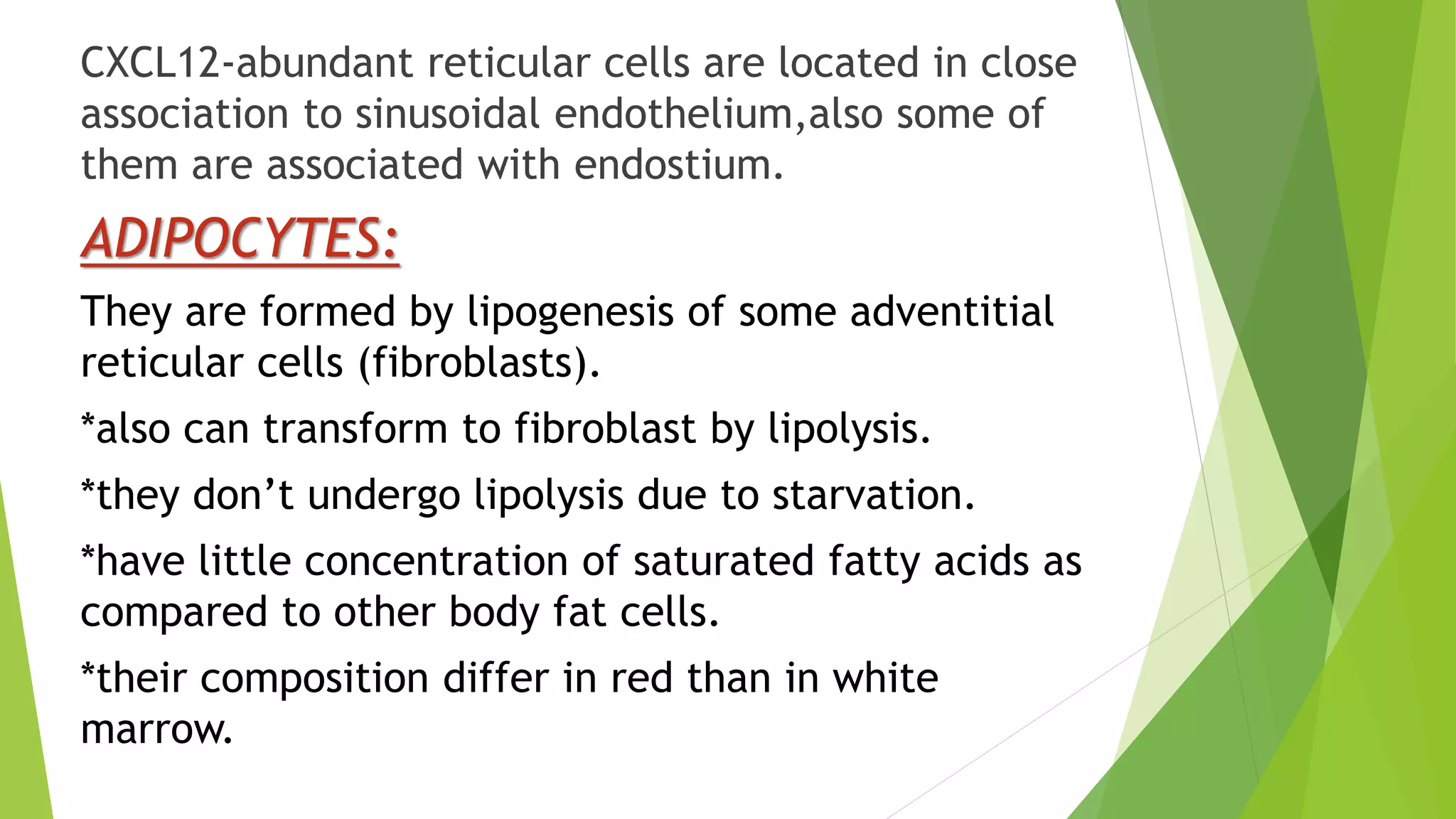 Bone marrow structure & haemopoietic microenviroment | PPTX