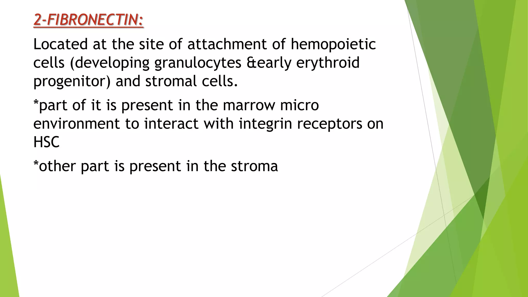 Bone marrow structure & haemopoietic microenviroment | PPTX
