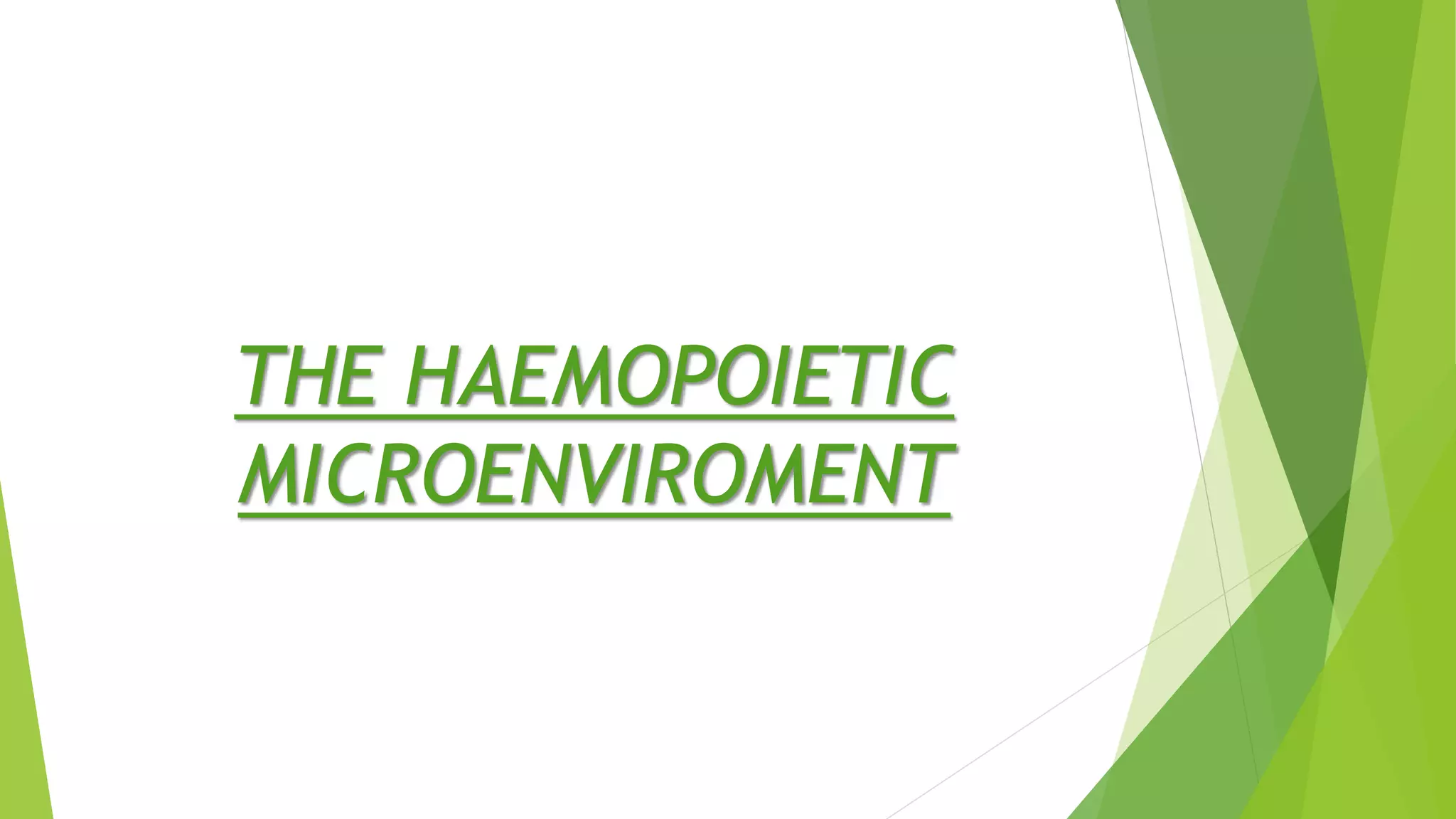 Bone marrow structure & haemopoietic microenviroment | PPTX