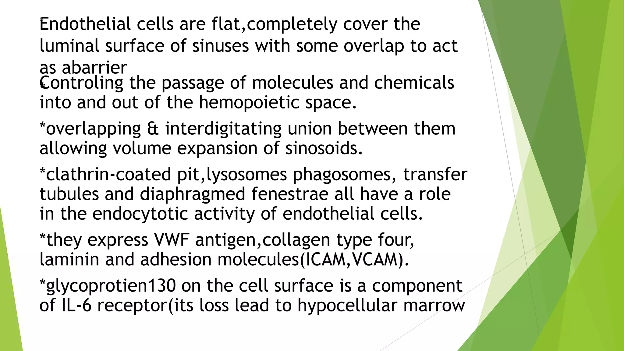 Bone marrow structure & haemopoietic microenviroment | PPTX