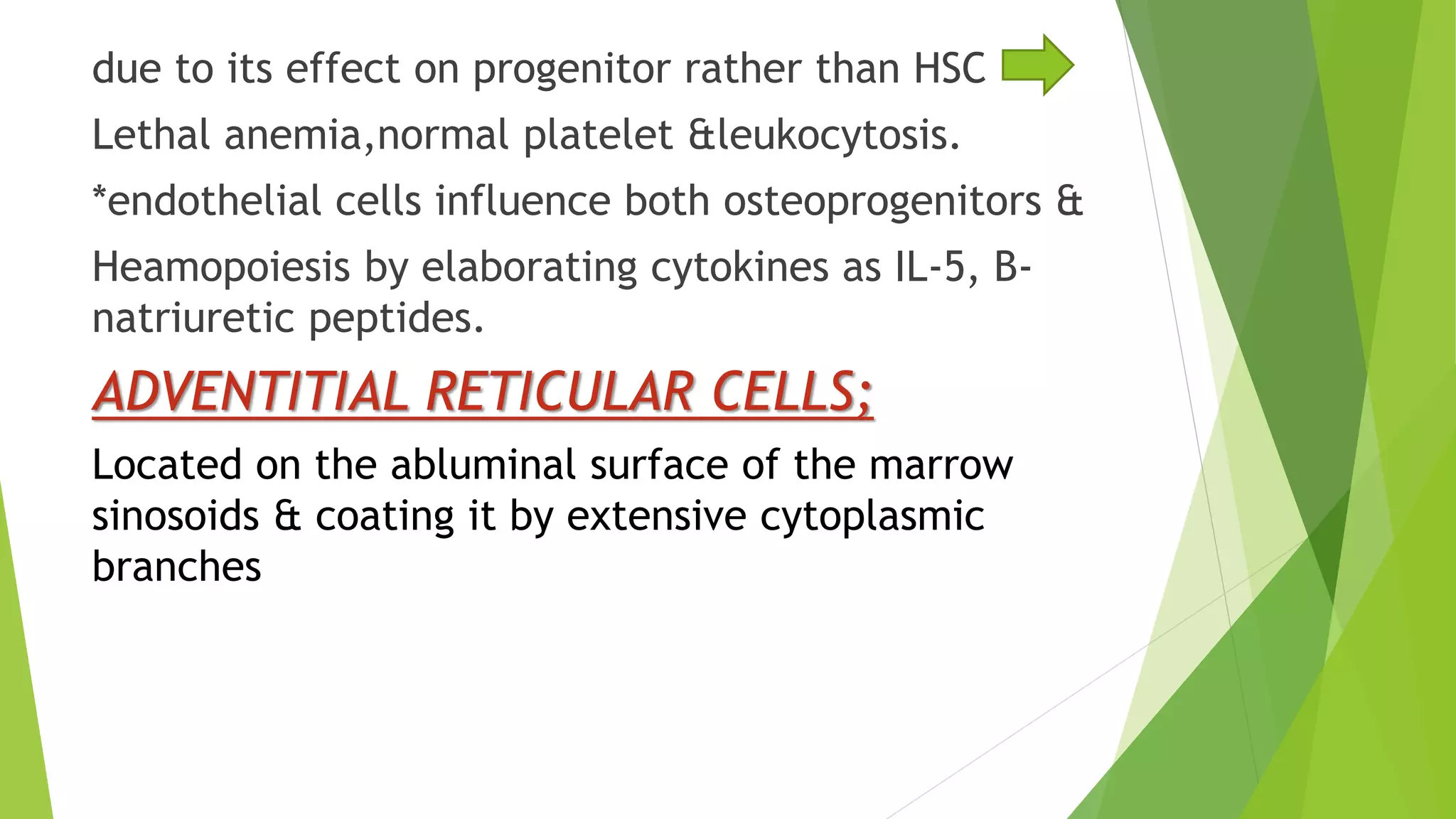 Bone marrow structure & haemopoietic microenviroment | PPTX