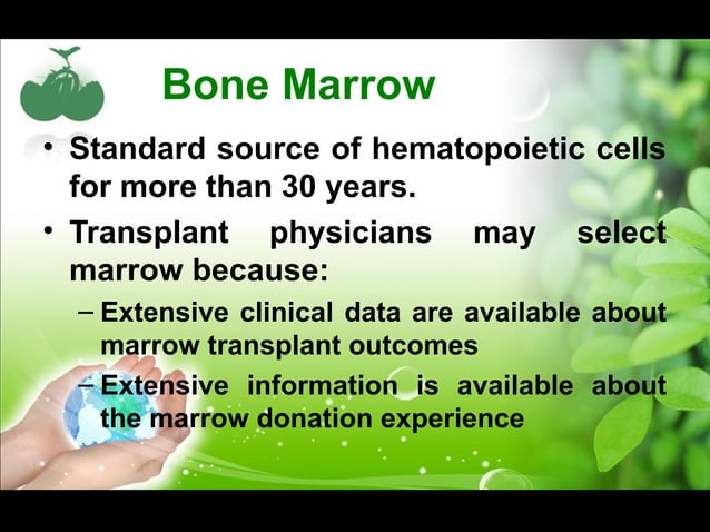 Bone marrow transplant | PPT