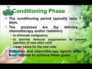 Bone marrow transplant | PPT