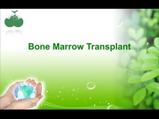 Bone Marrow Transplant Ppt