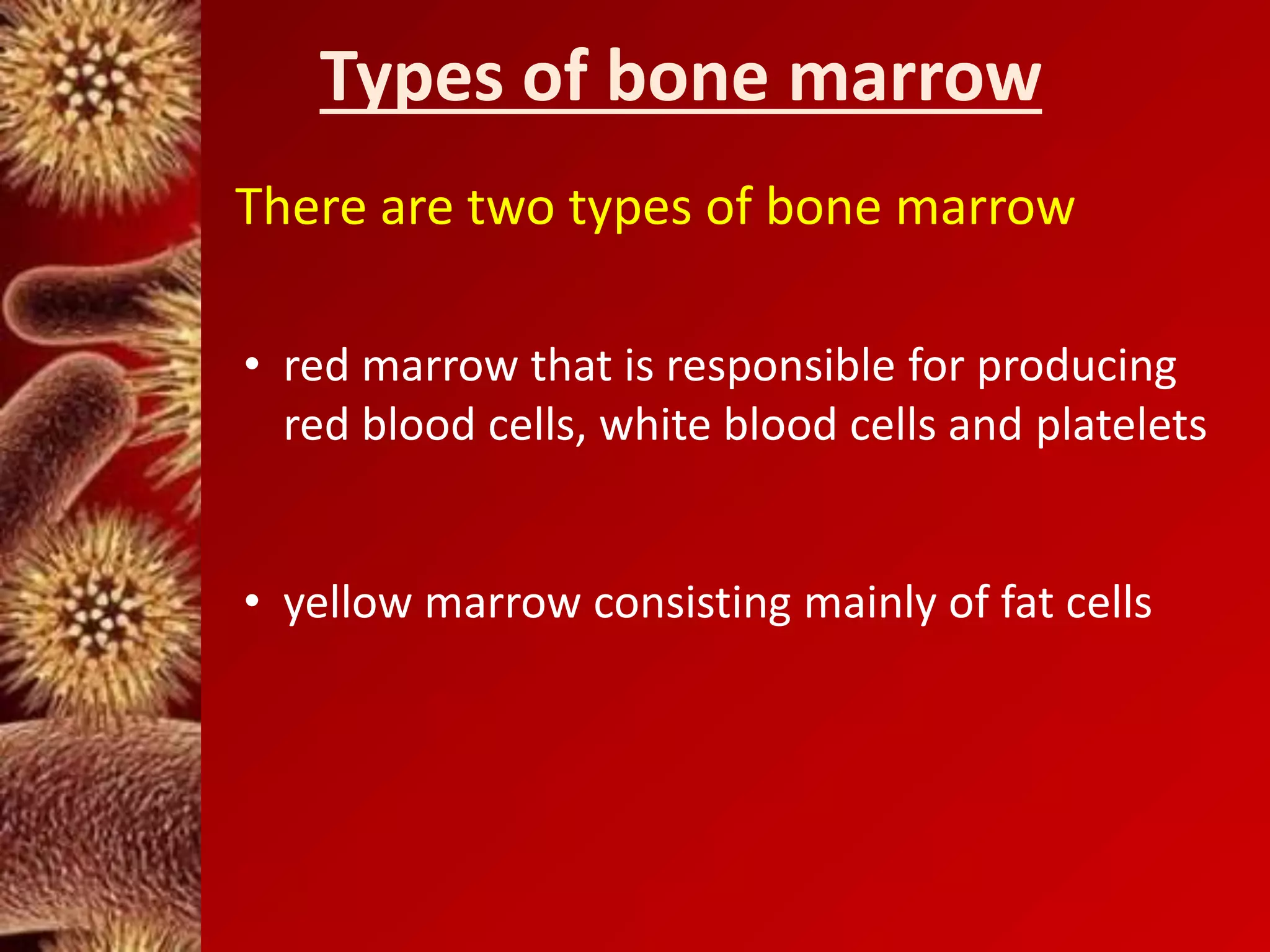 Bone marrow transplant | PPTX