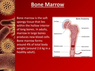 Bone marrow transplant | PPTX