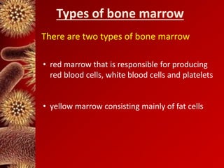 Bone marrow transplant | PPTX