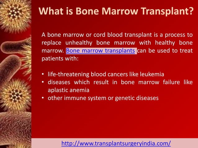 Bone marrow transplant | PPT