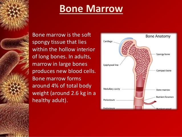 Bone marrow transplant