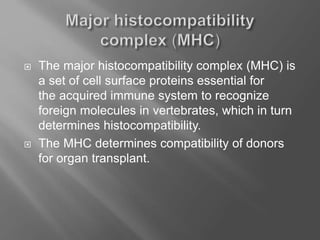 Bone marrow transplantation | PPTX