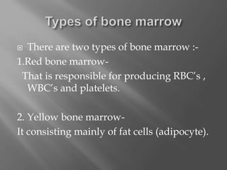 Bone marrow transplantation | PPTX
