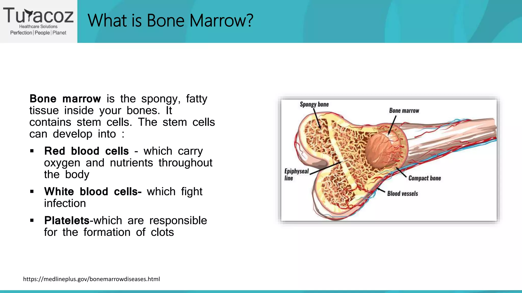Bone marrow transplantation | PPTX