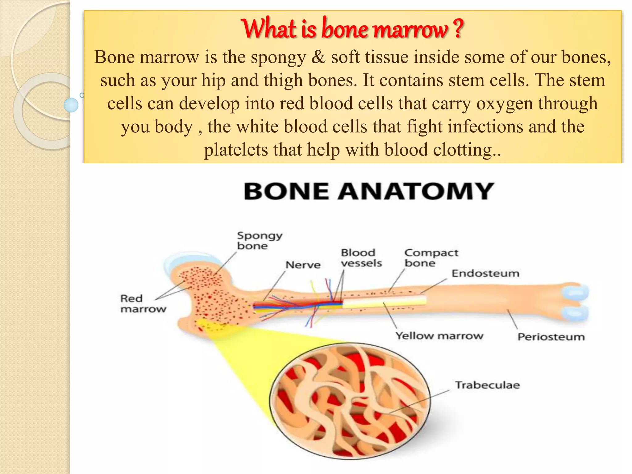 Bone marrow transplant by s,kabiraj | PPTX