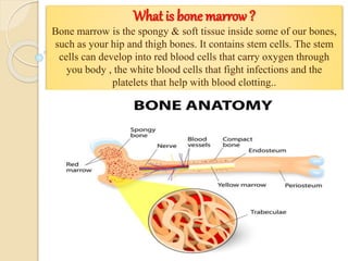 Bone marrow transplant by s,kabiraj | PPTX