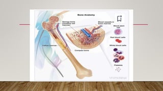 #bone marrow transplant procedure # pptx | PPT
