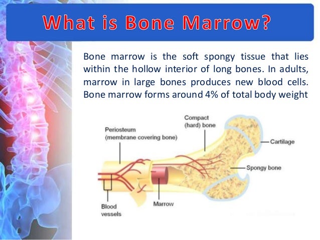 Bone marrow transplant surgery in india
