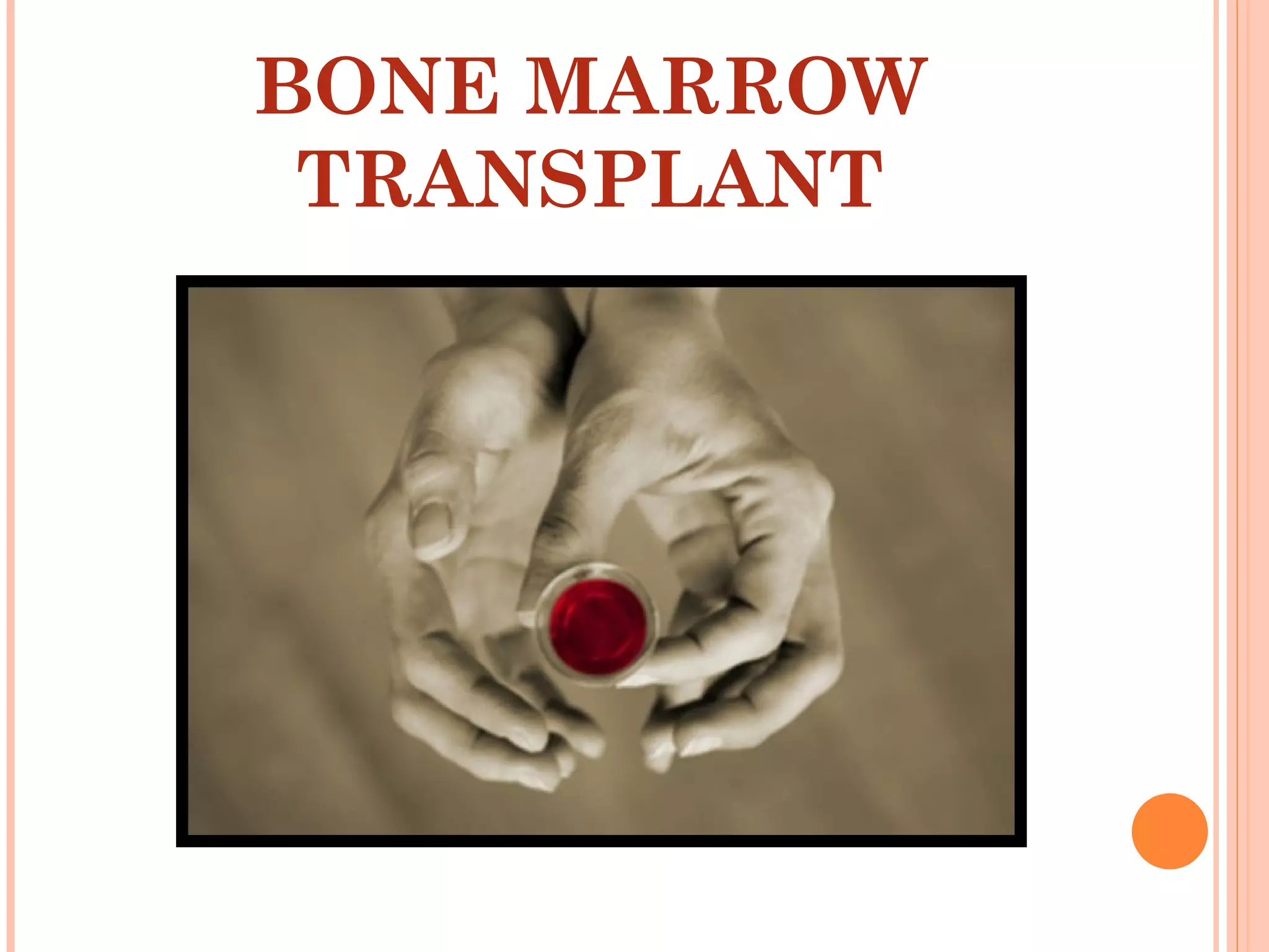 Bone Marrow | PPT
