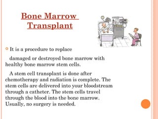 Bone Marrow | PPT