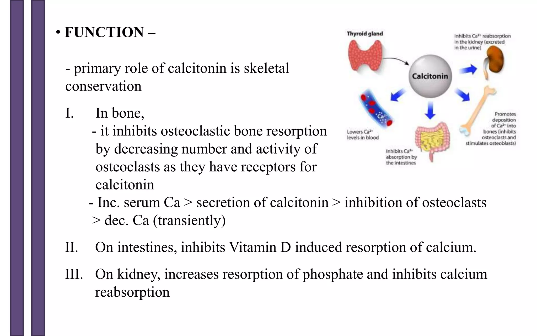 Bone metabolism | PPTX