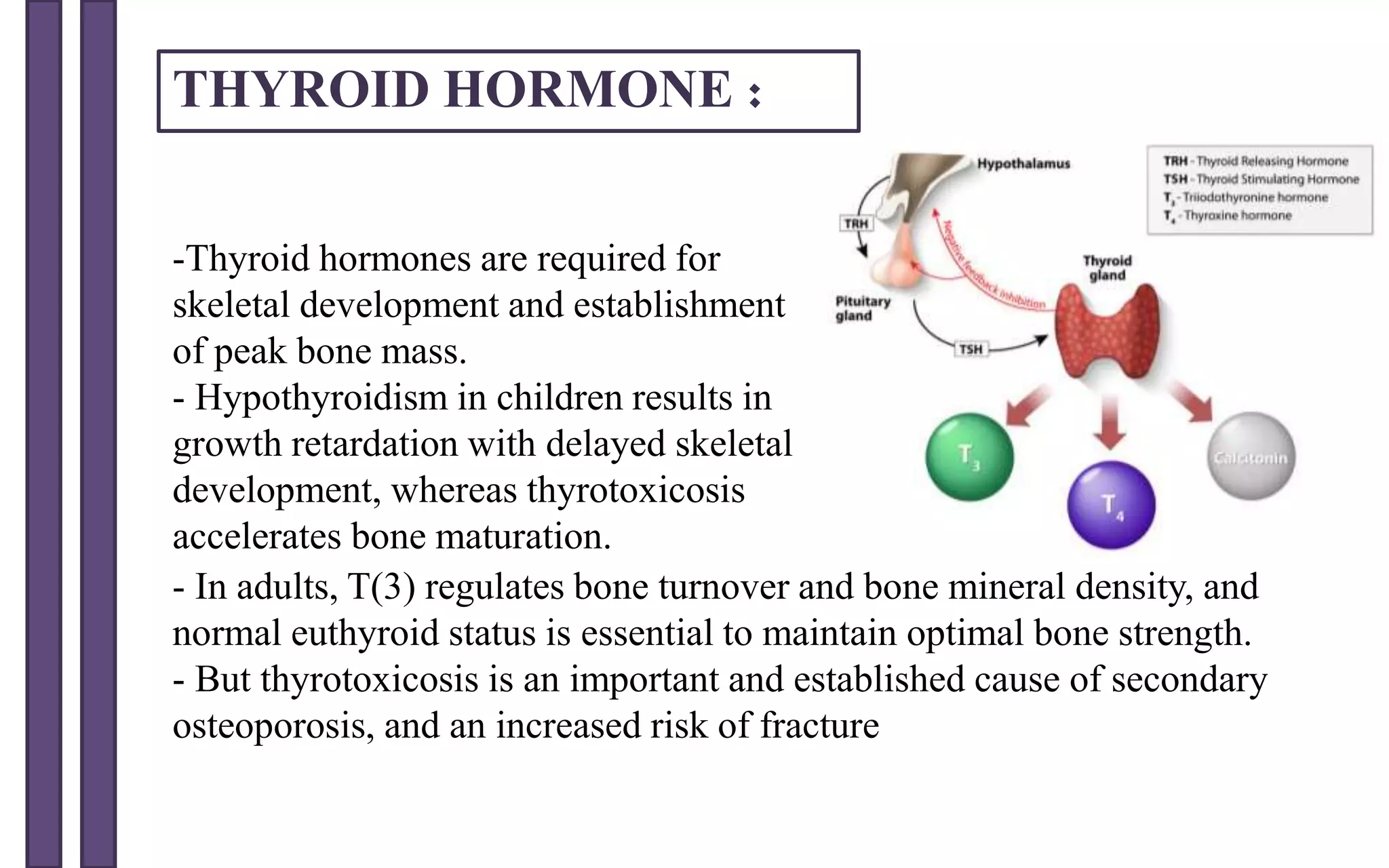 Bone metabolism | PPTX