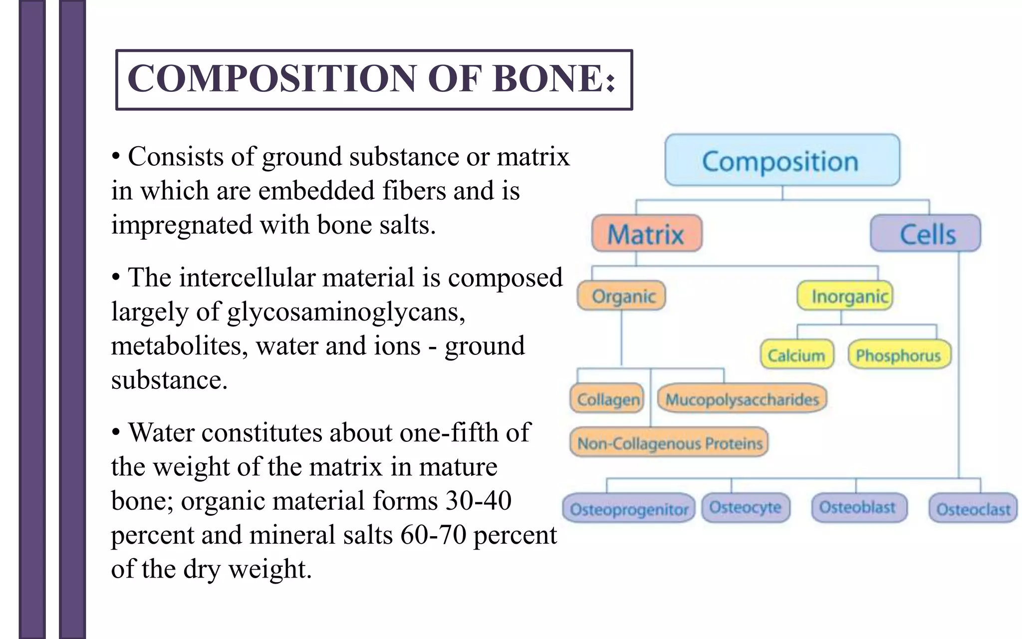 Bone metabolism | PPTX
