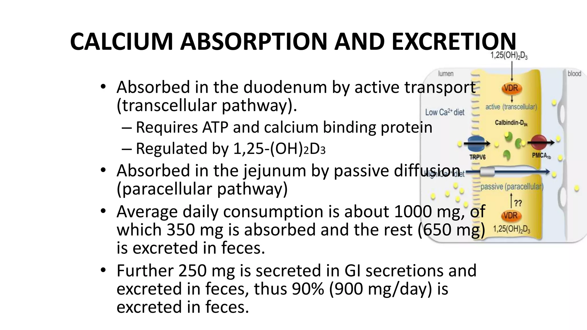 Bone metabolism by Dr. binod Chaudhary.pptx