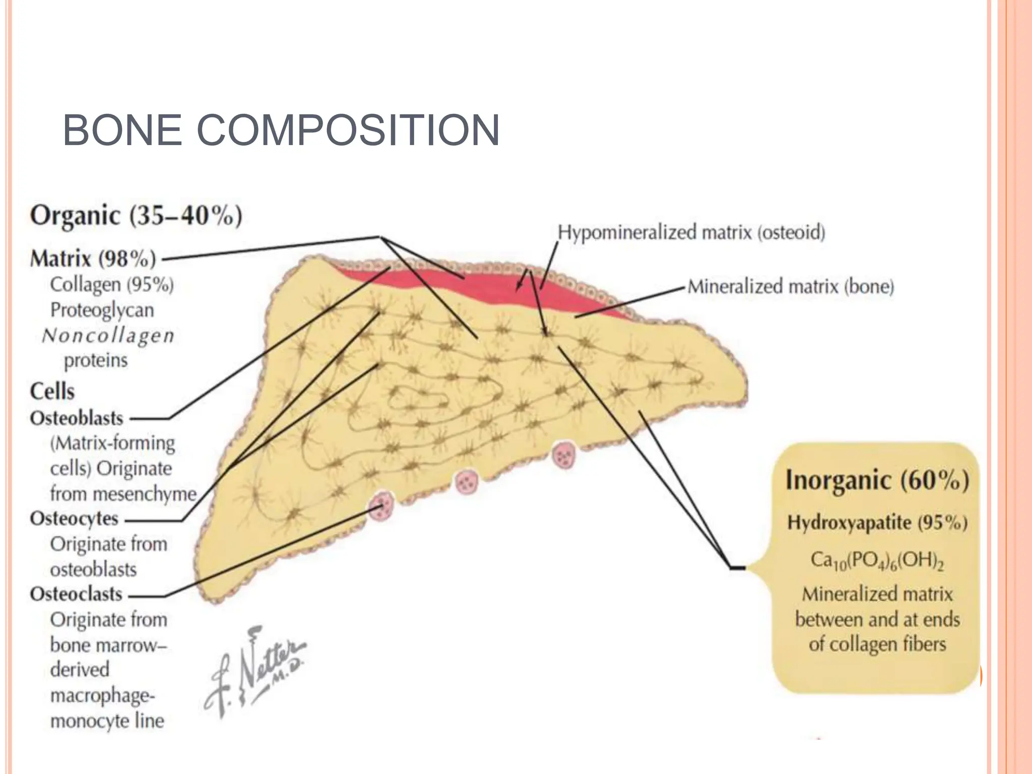 PHYSIOLOGY OF CALCIUM AND VITAMIN D METABOLISM PPT DR NAV.pptx