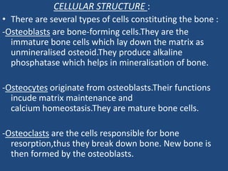 Bone mineral density (bmd) test | PPTX