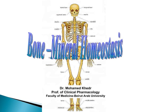Bone mineral homeostasis | PPT | Bone and Joint Conditions | Diseases ...