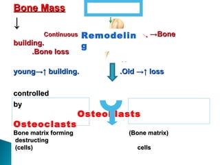 Bone mineral homeostasis | PPT