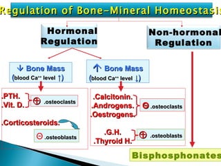 Bone mineral homeostasis | PPT