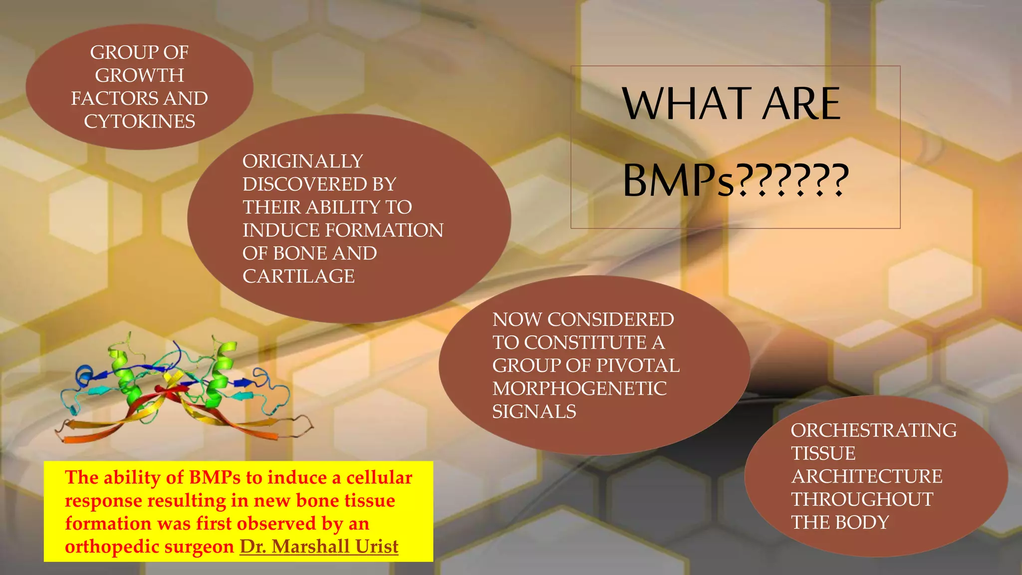 Bone Morphogenetic Proteins - Role in Periodontal Regeneration | PPTX