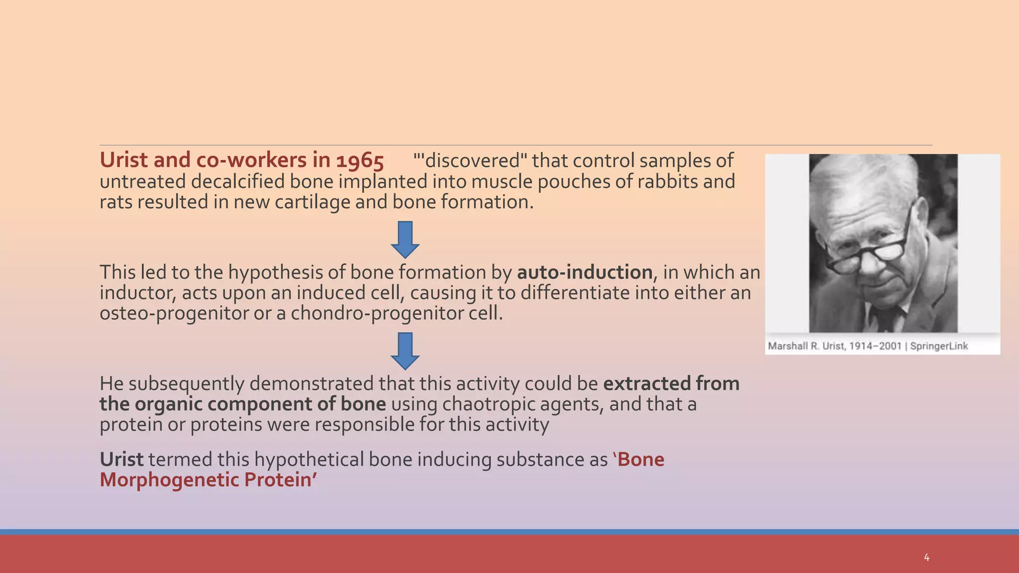 Bone morphogenetic proteins in periodontal regeneration | PPTX