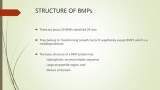 Bone morphogenic proteins seminar | PPTX
