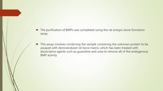 Bone morphogenic proteins seminar | PPTX