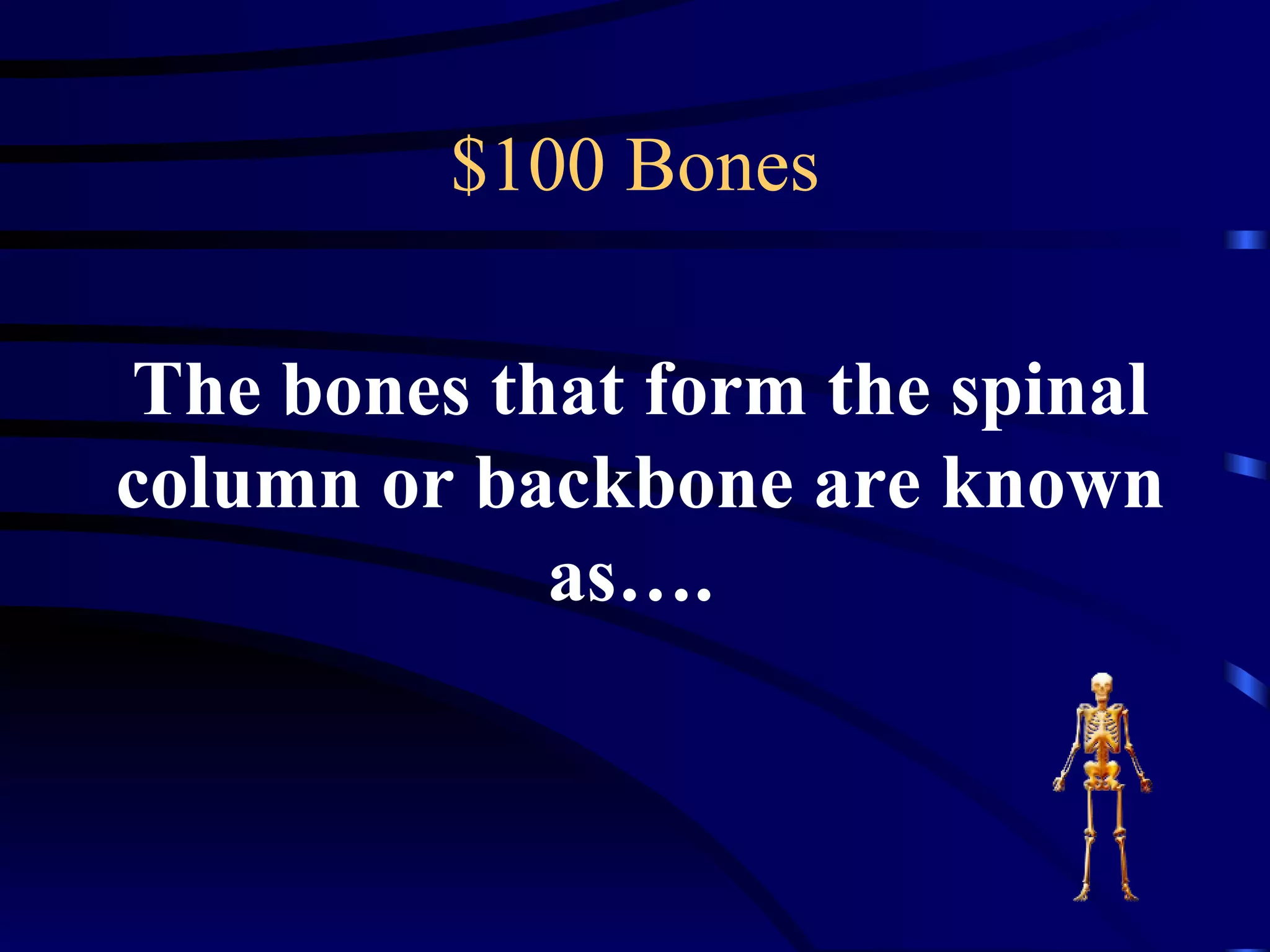 Bone Muscle Skin Jeopardy | PPT