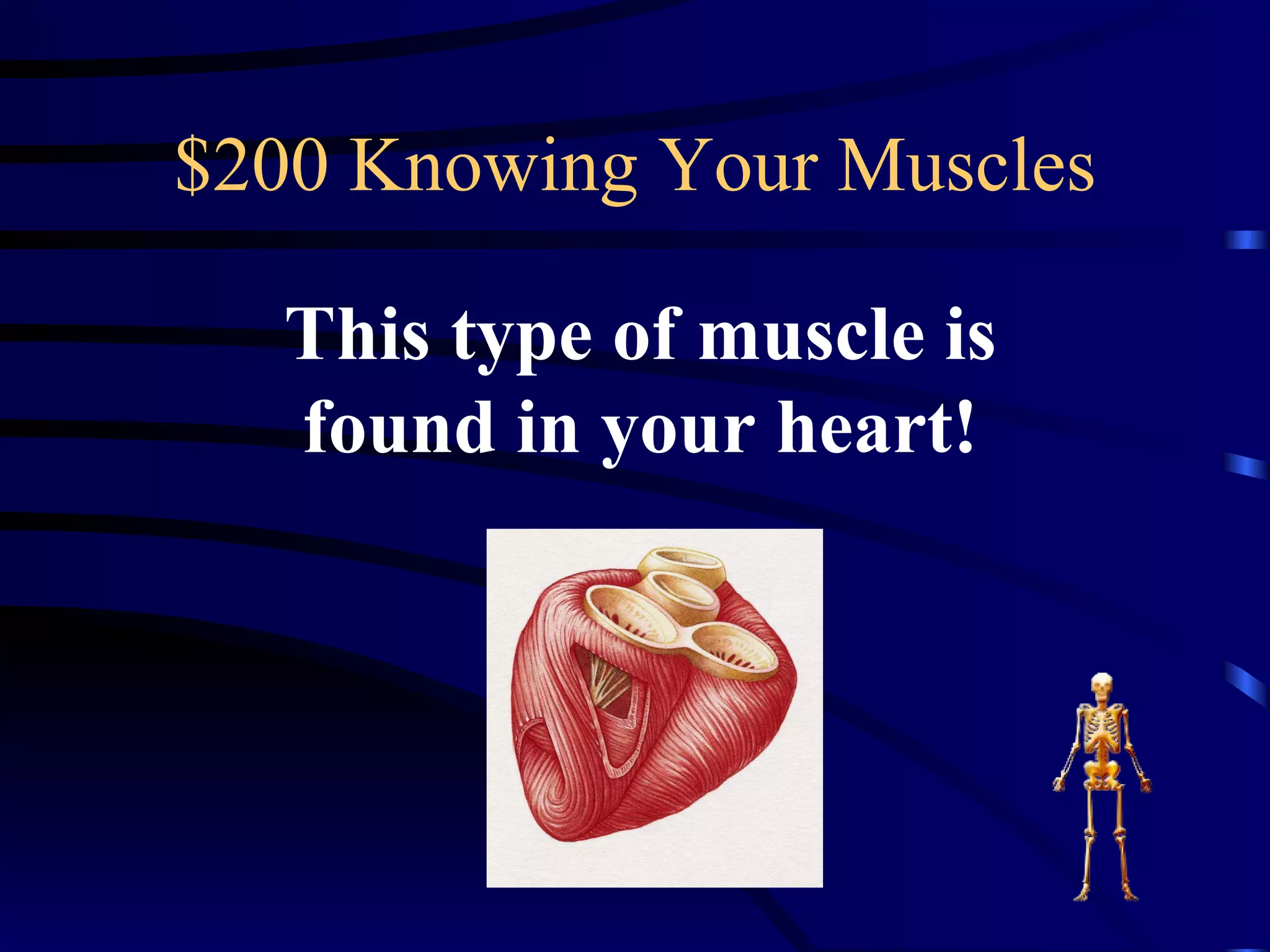 Bone Muscle Skin Jeopardy | PPT