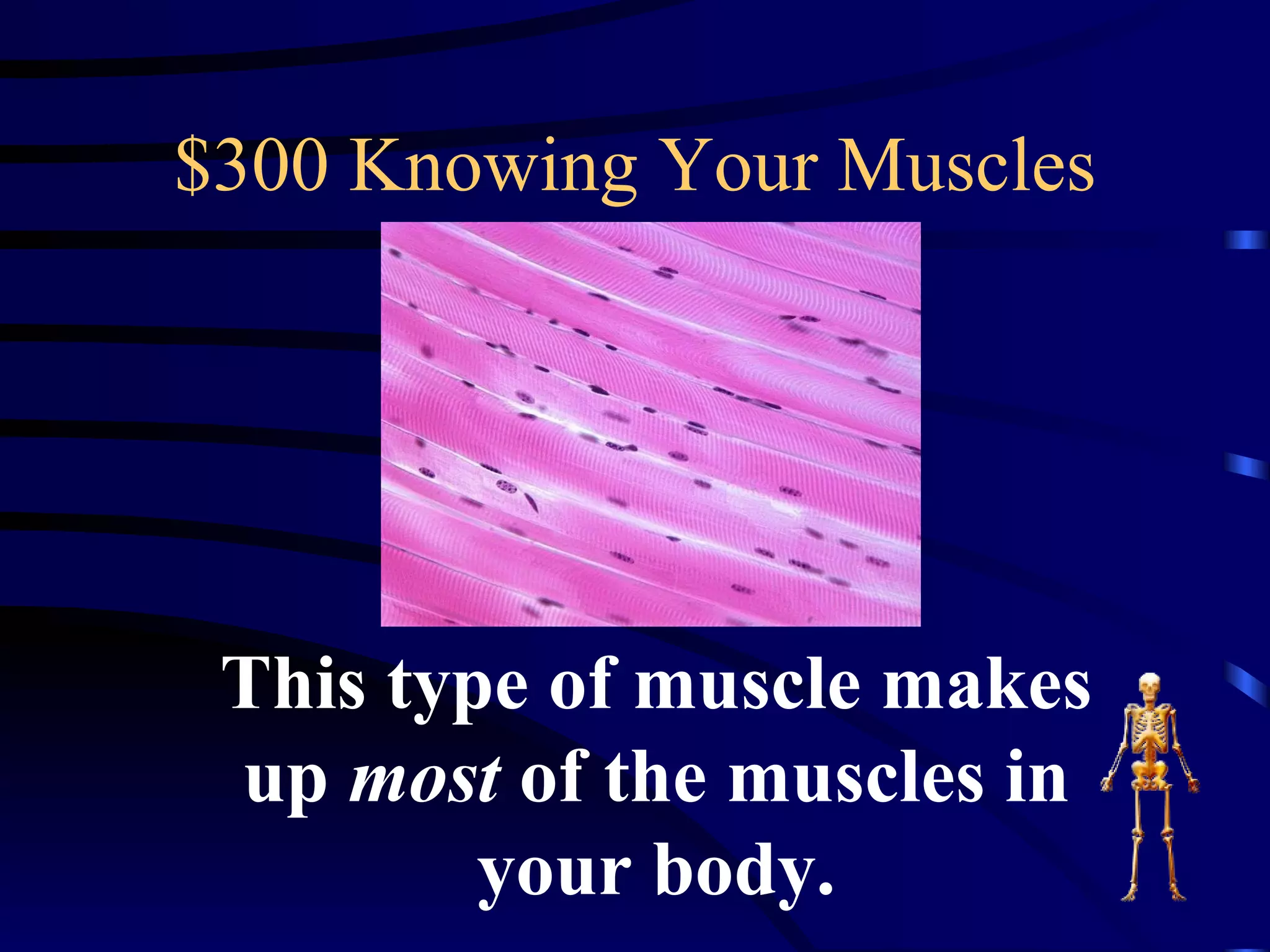 Bone Muscle Skin Jeopardy | PPT