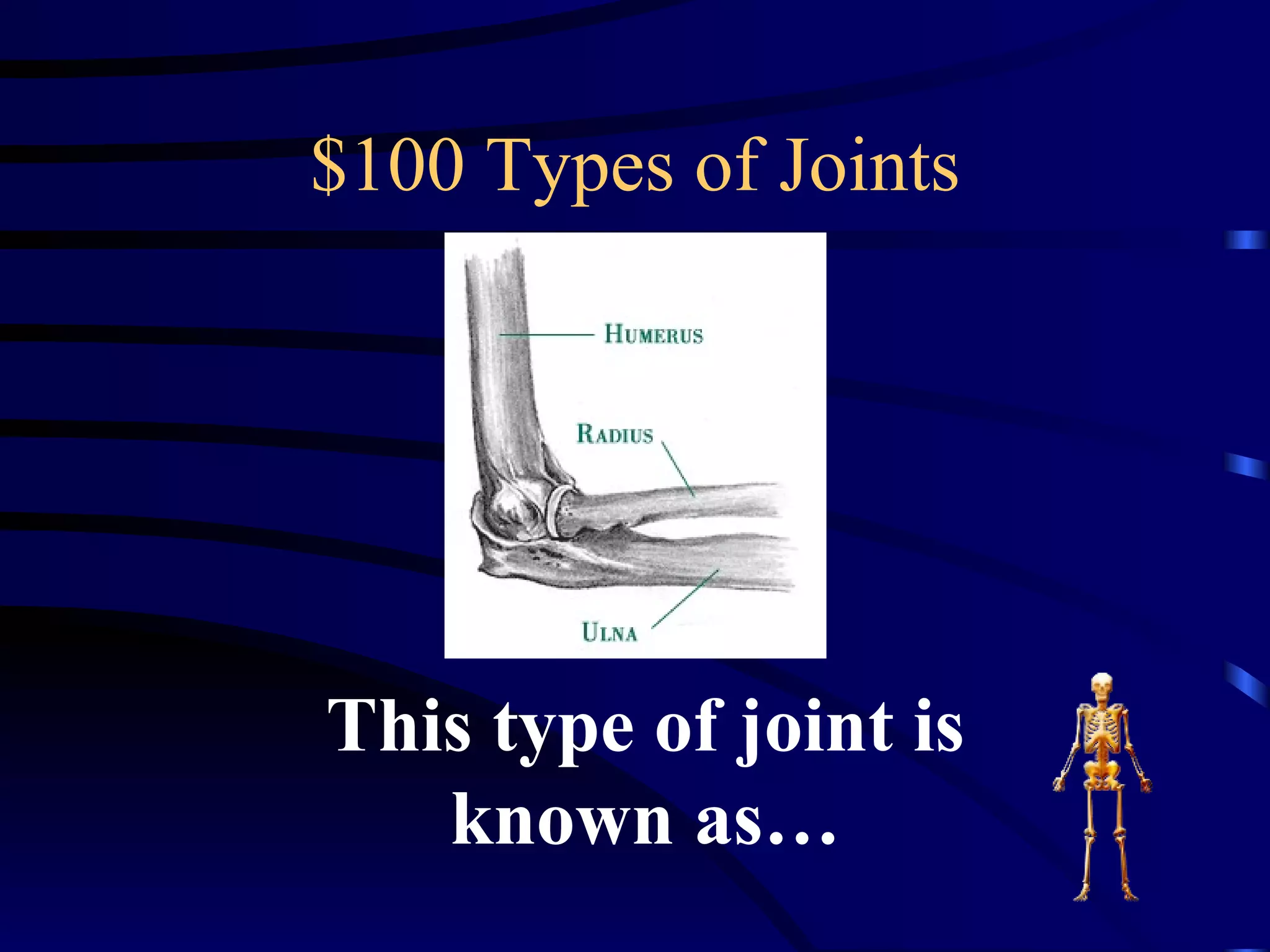 Bone Muscle Skin Jeopardy | PPT