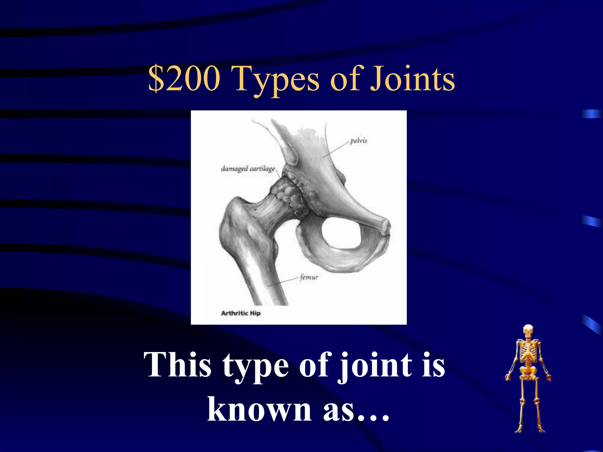 Bone Muscle Skin Jeopardy | PPT