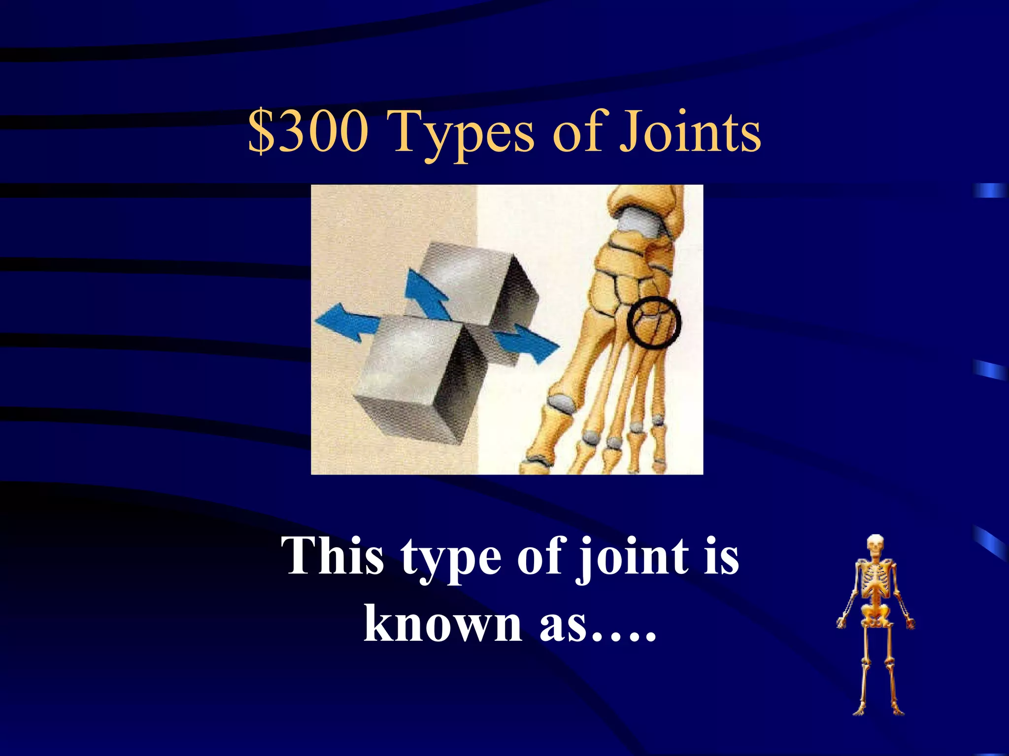 Bone Muscle Skin Jeopardy | PPT