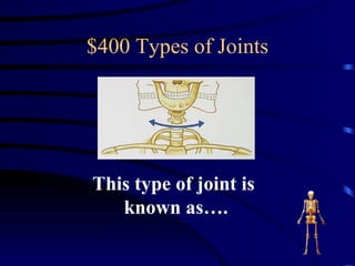 Bone Muscle Skin Jeopardy | PPT