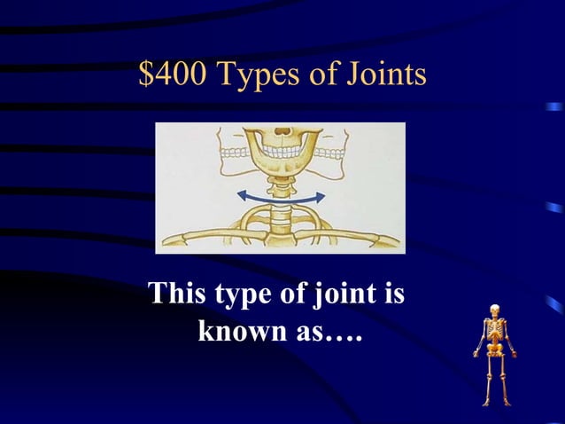 Bone Muscle Skin Jeopardy | PPT