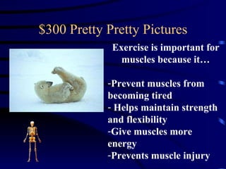 Bone Muscle Skin Jeopardy | PPT