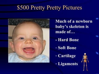 Bone Muscle Skin Jeopardy | PPT