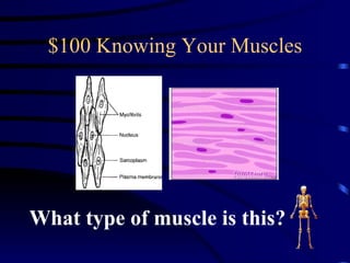 Bone Muscle Skin Jeopardy | PPT