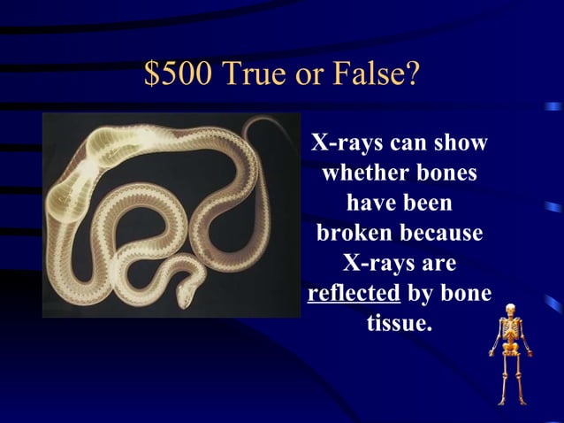 Bone Muscle Skin Jeopardy | PPT